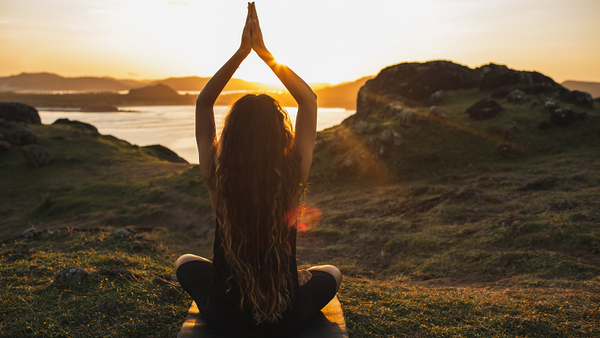 THE ART OF COLOUR HARMONY – Viola Hair Extensions